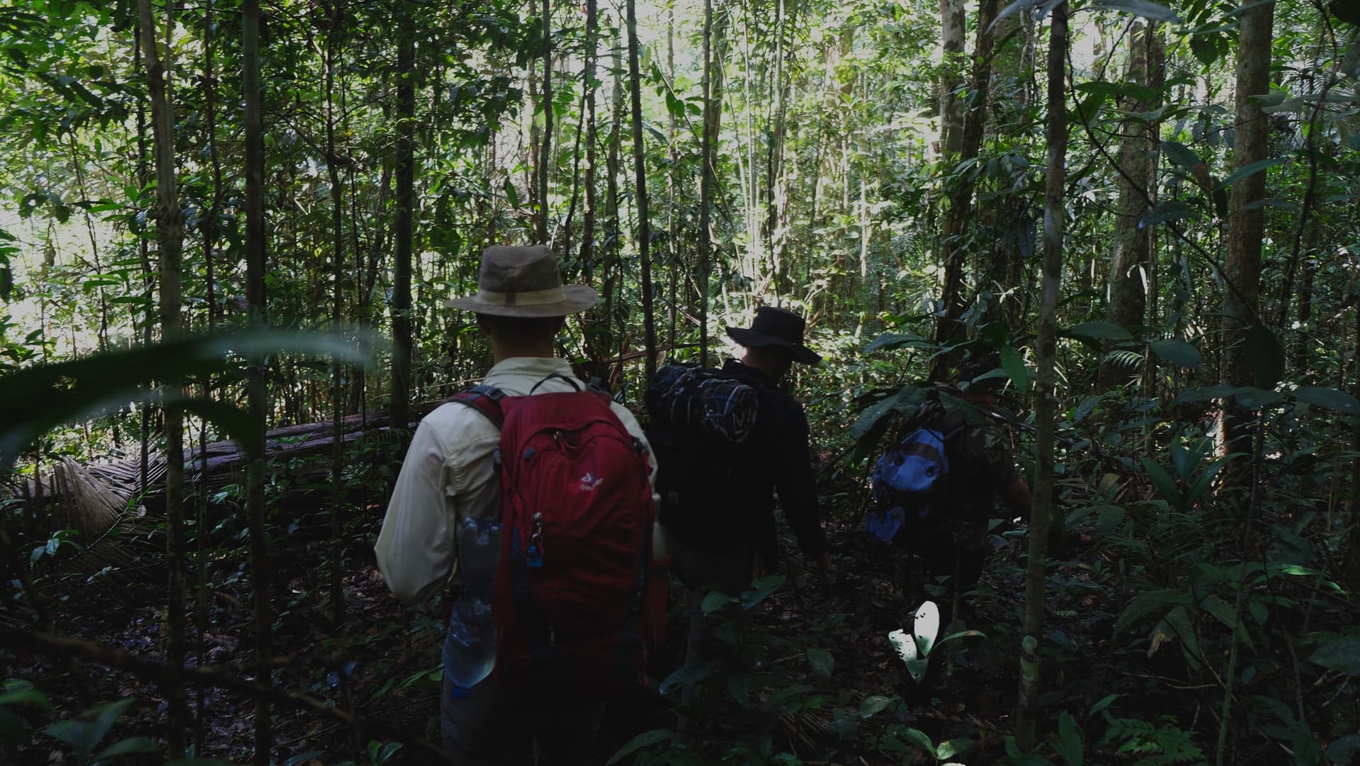 Taste of the Jungle | NEY Eco Adventures